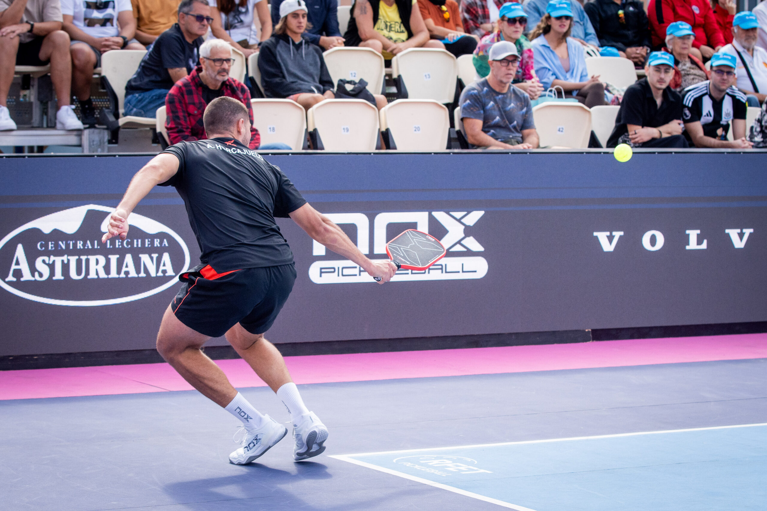 Home - Pickle Pro Tour