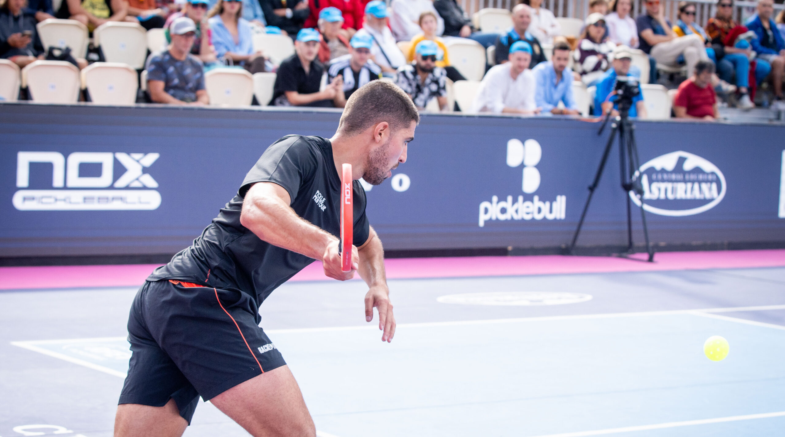 Home - Pickle Pro Tour